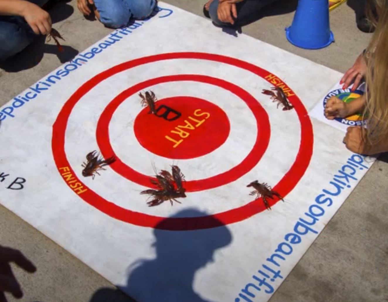 Crawfish Race – Daddio Time