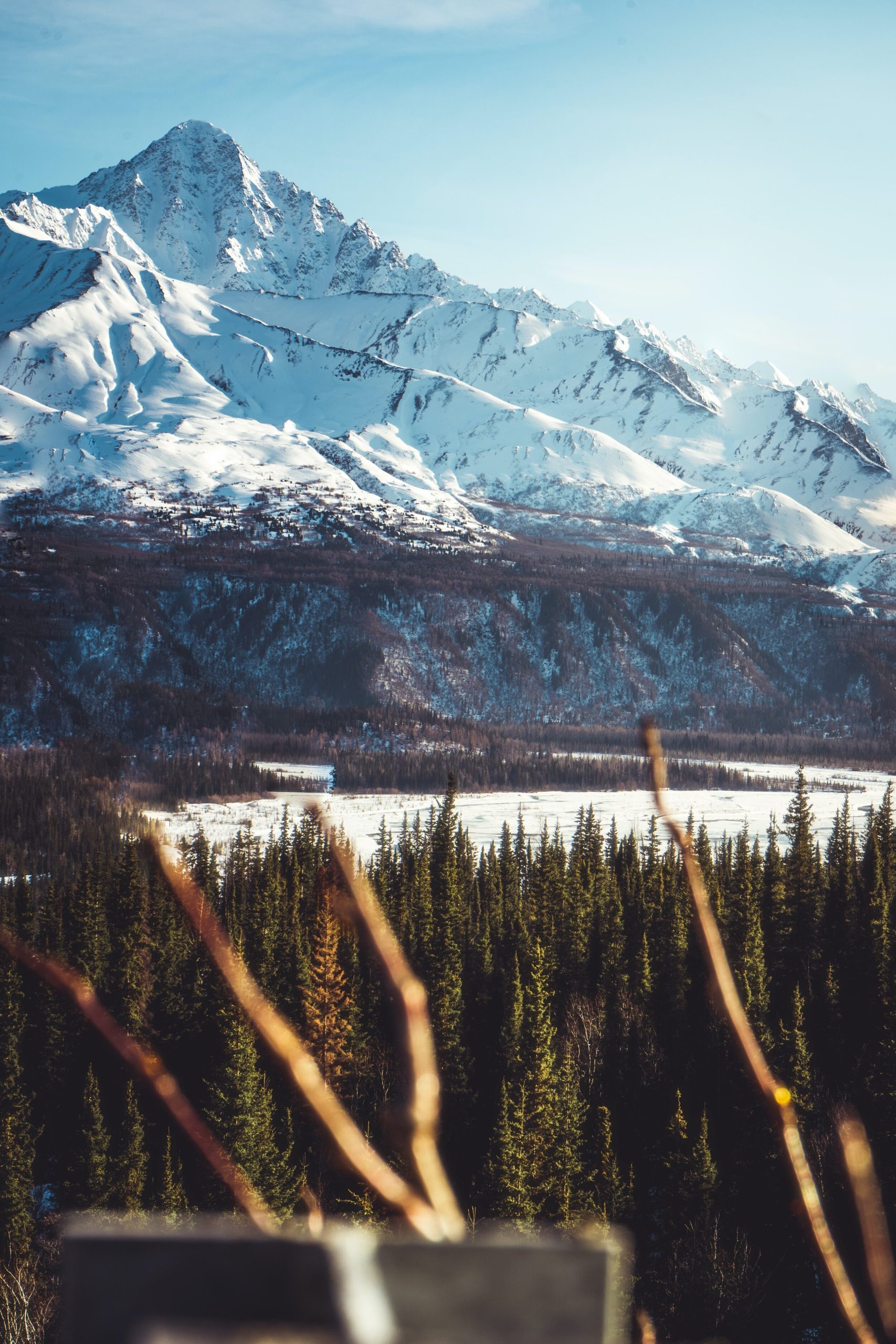 Greater Alaska in the Kenai Region – Daddio Time